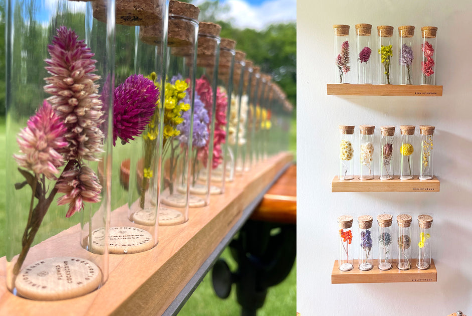 Shop Individual Flowers & Bases – Bibliotheque Collective